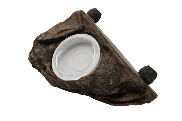 Lg Worm Feeder Ledge - Earth | Reptile Feeding Solution