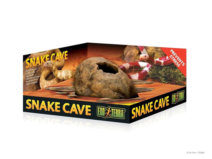 Reptile Hides & Caves | Essential Security for Reptiles