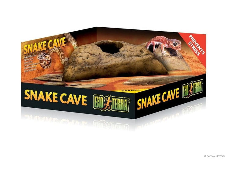 Reptile Hides & Caves | Essential Security for Reptiles